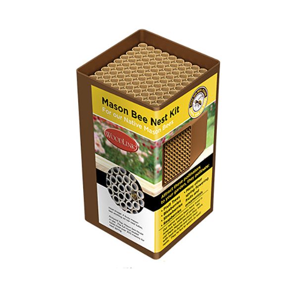 Replacement Fibreboard Mason Bee Nesting Tubes - Backyard Bird Centre