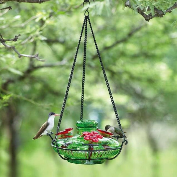 Parasol Bloom Perch Hummingbird Feeder – Backyard Bird Centre