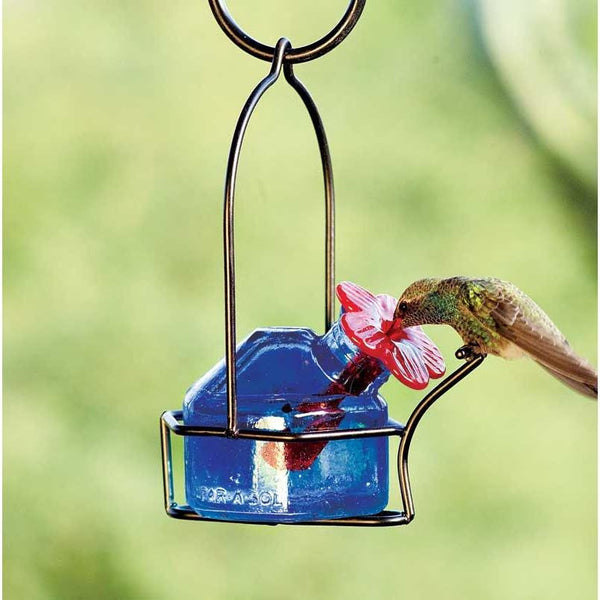 Parasol Bouquet Classic One Hummingbird Feeder – Backyard Bird Centre