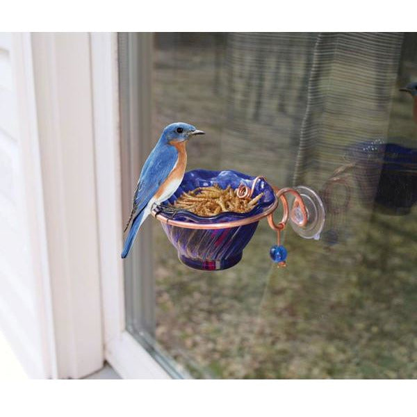 Copper Bluebird Window Mealworm Feeder – Backyard Bird Centre