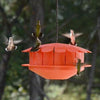 Hummingbird Feeder Accessories - Backyard Bird Centre