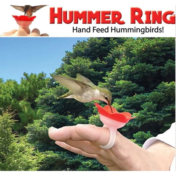 Hummer Ring Hummingbird Feeder - 2 – Backyard Bird Centre