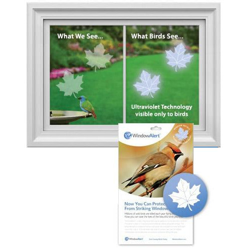 Maple Leaf Window Alert Window Decals Set of 8 Decals – Backyard Bird Centre