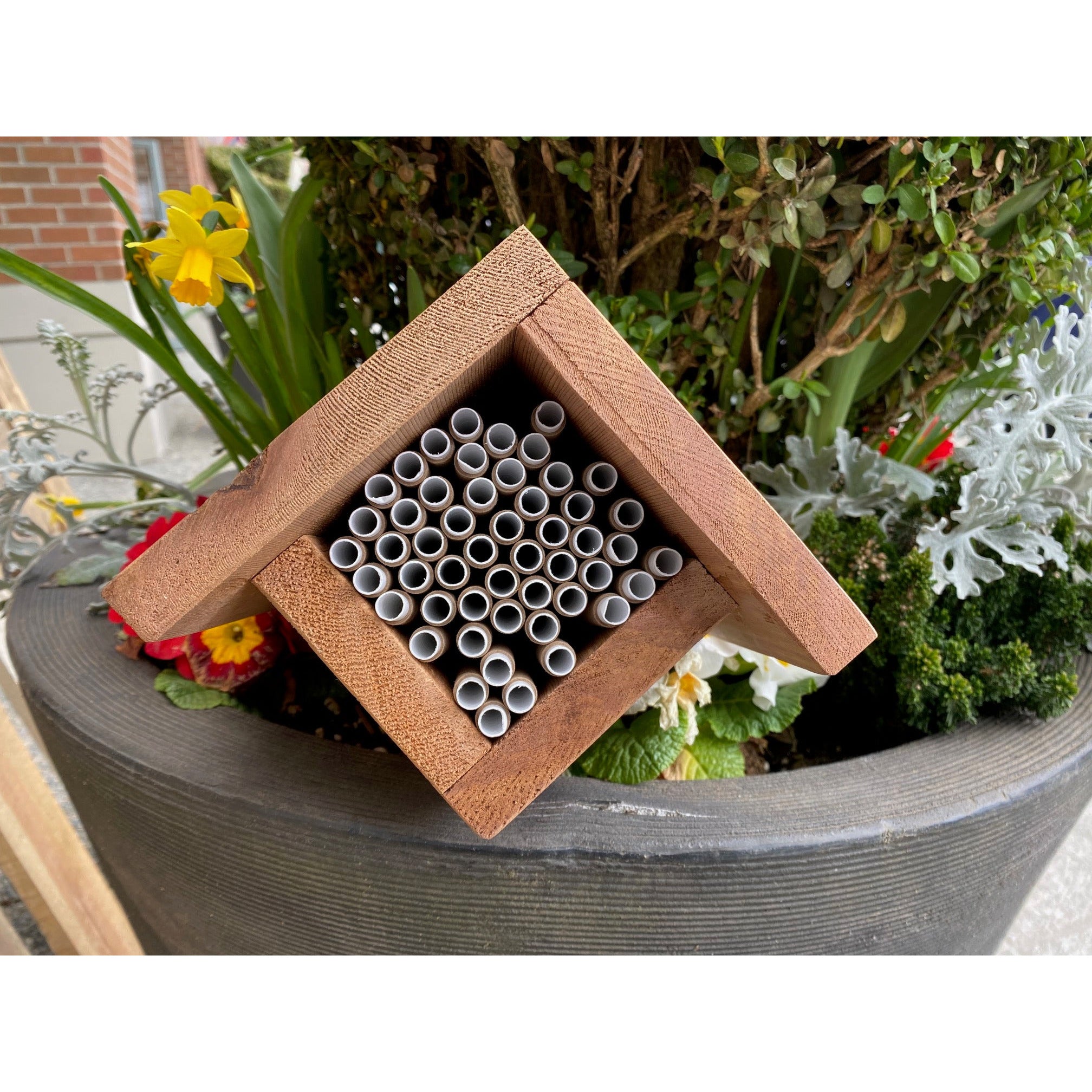 Mason Bee Homebase Kit with Nesting Tubes and Liners – Backyard Bird Centre