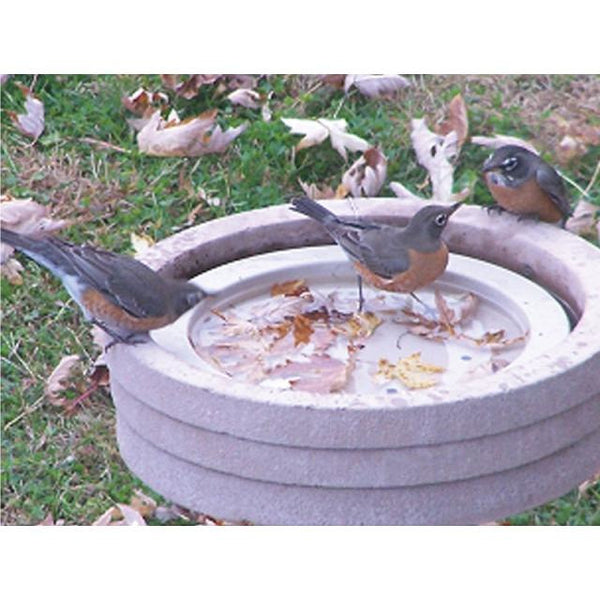 Bird Bath Raft – Backyard Bird Centre