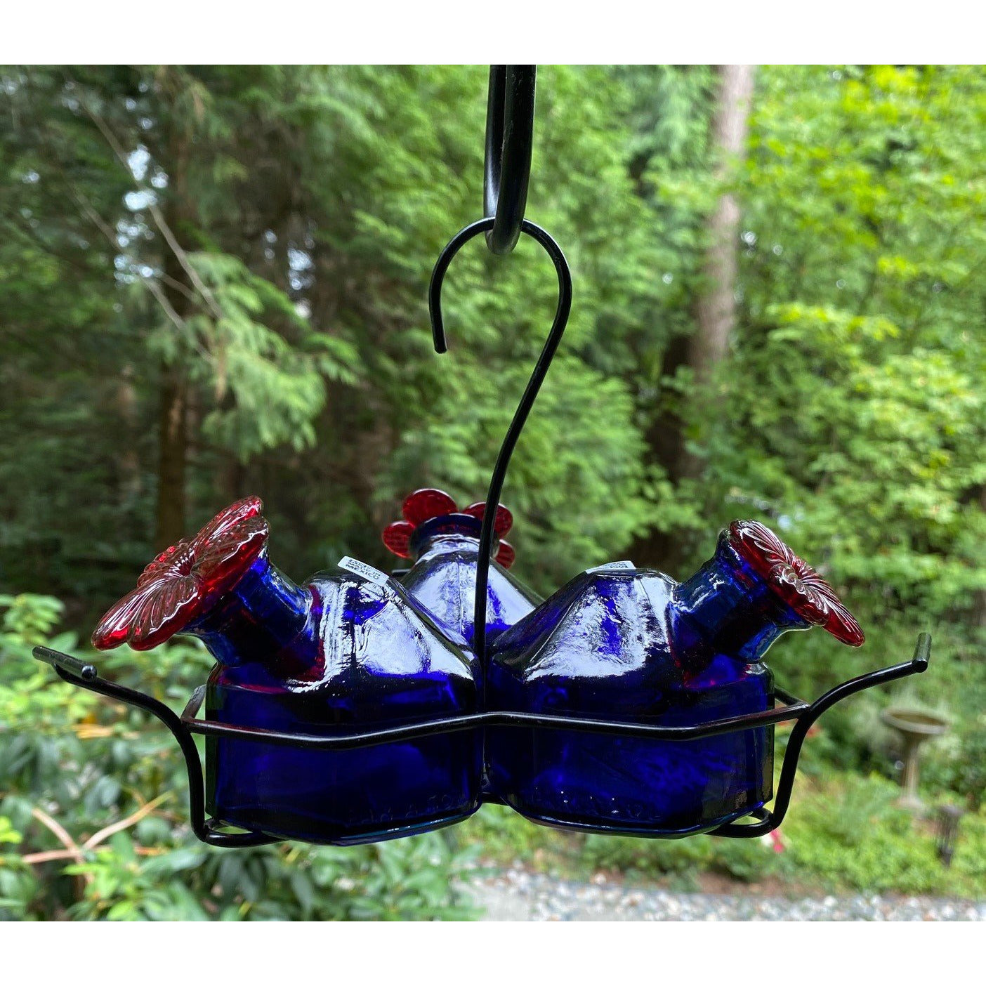 Parasol Bouquet Classic 3 Hummingbird Feeder – Backyard Bird Centre