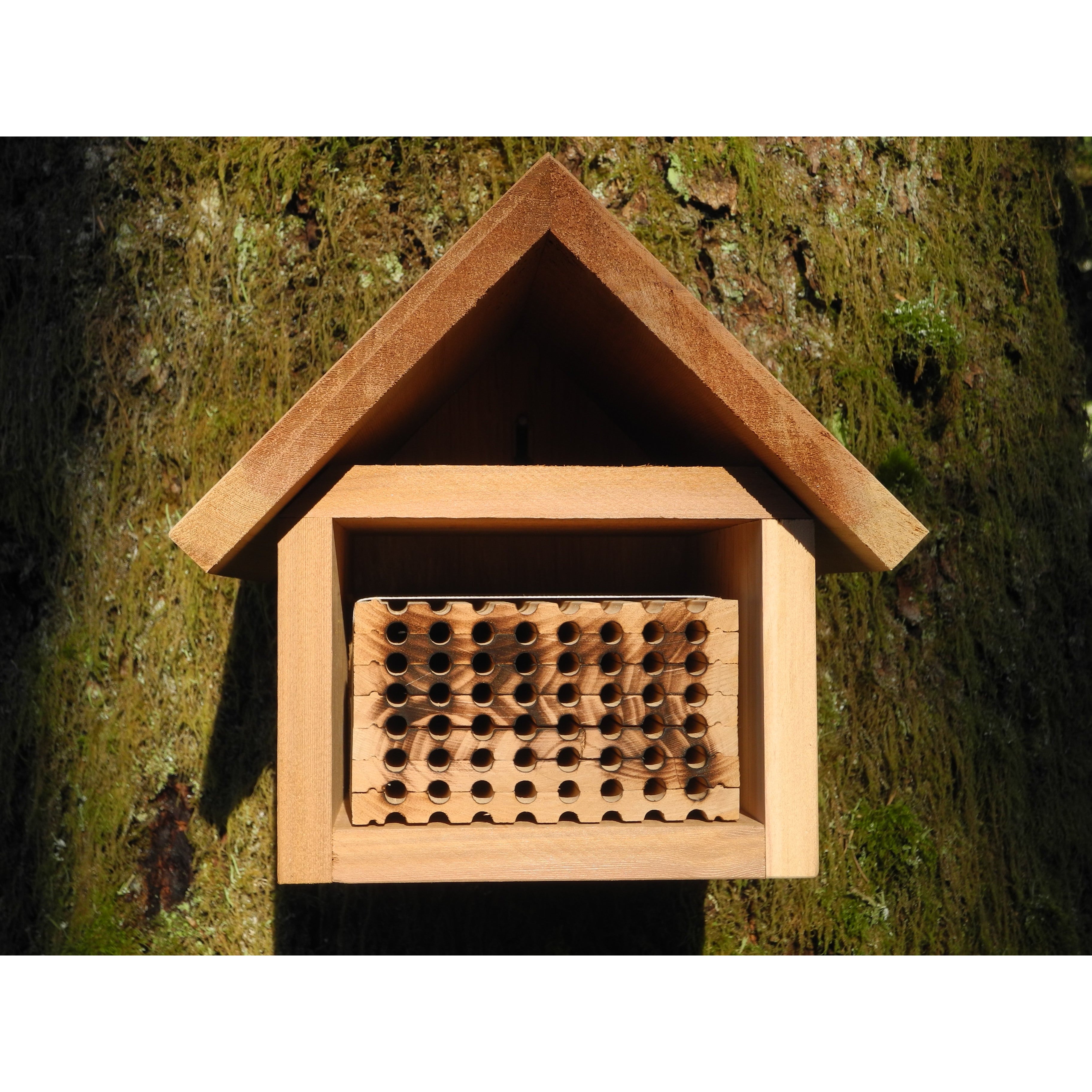 Chalet Kit Mason Bee House – Backyard Bird Centre