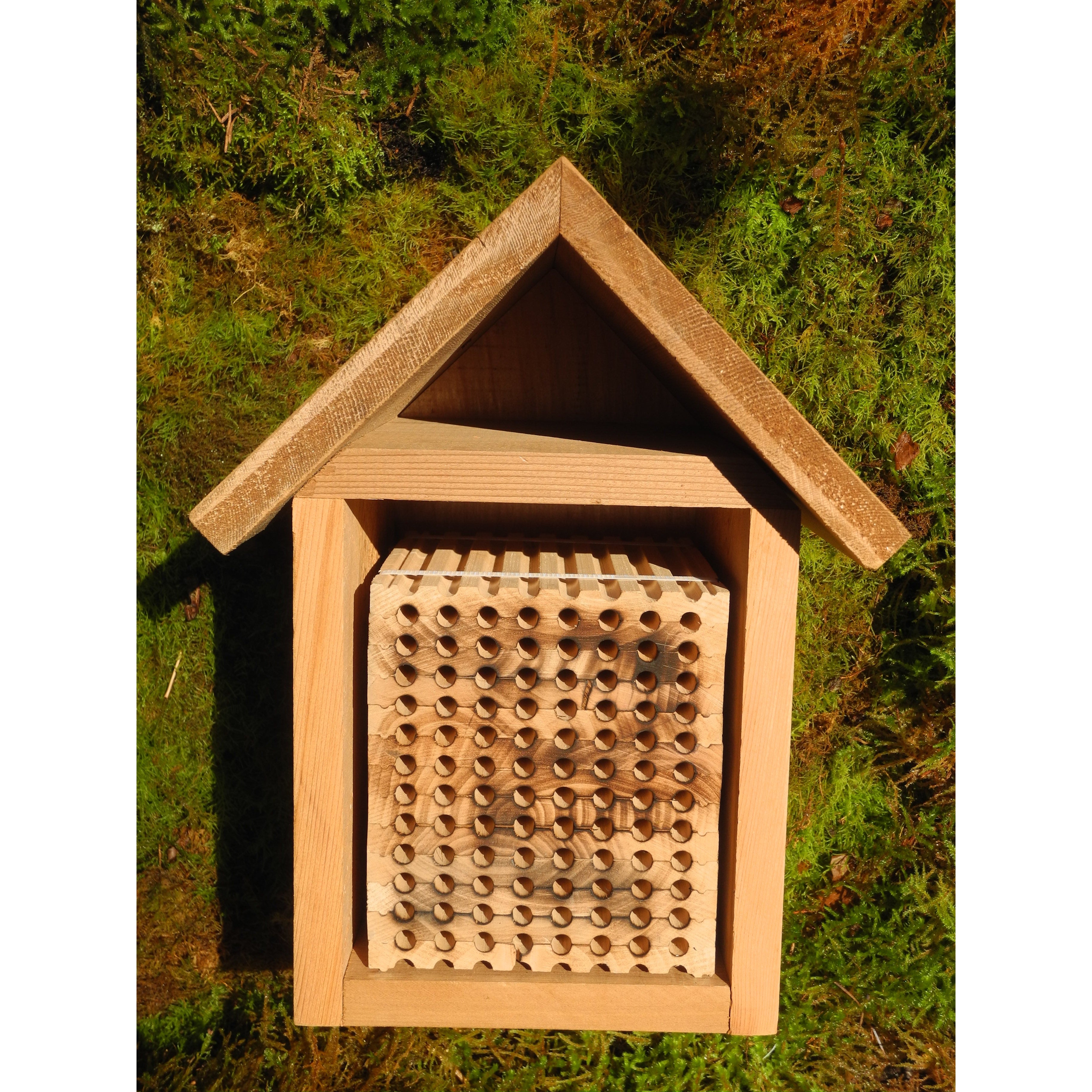 Condo Kit Mason Bee House – Backyard Bird Centre
