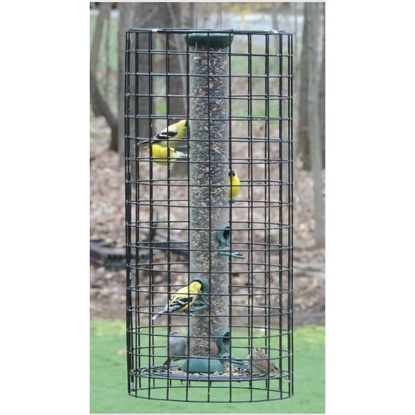 Retro-Fit Squirrel and Large Bird-Proof Cages - Backyard Bird Centre